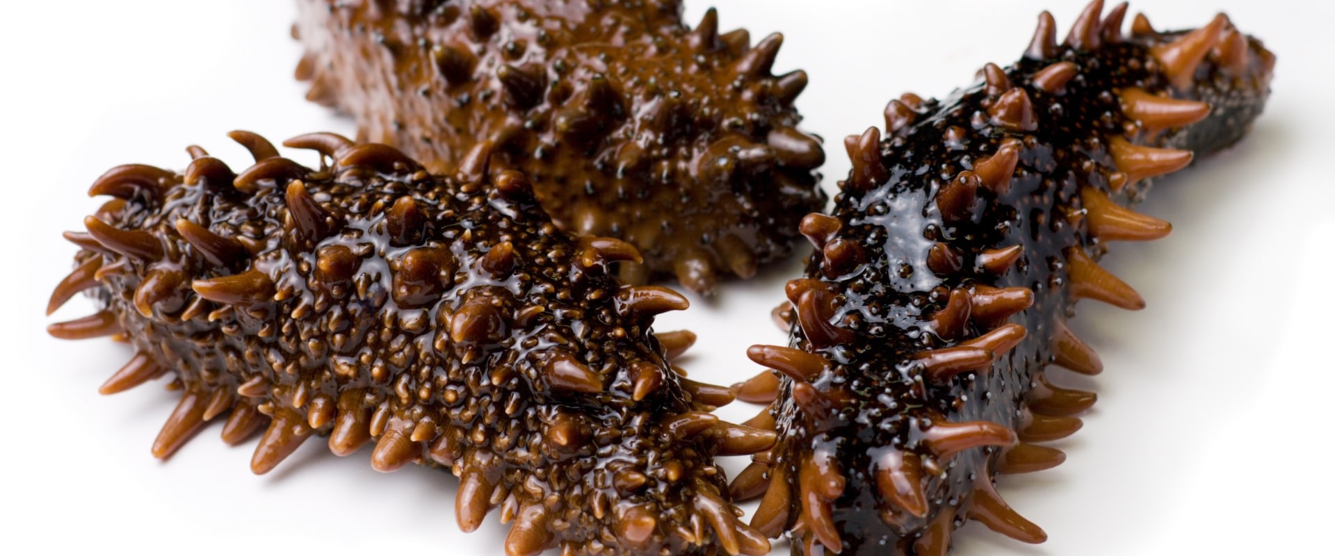 Processing Sea Cucumbers: A Comprehensive Guide